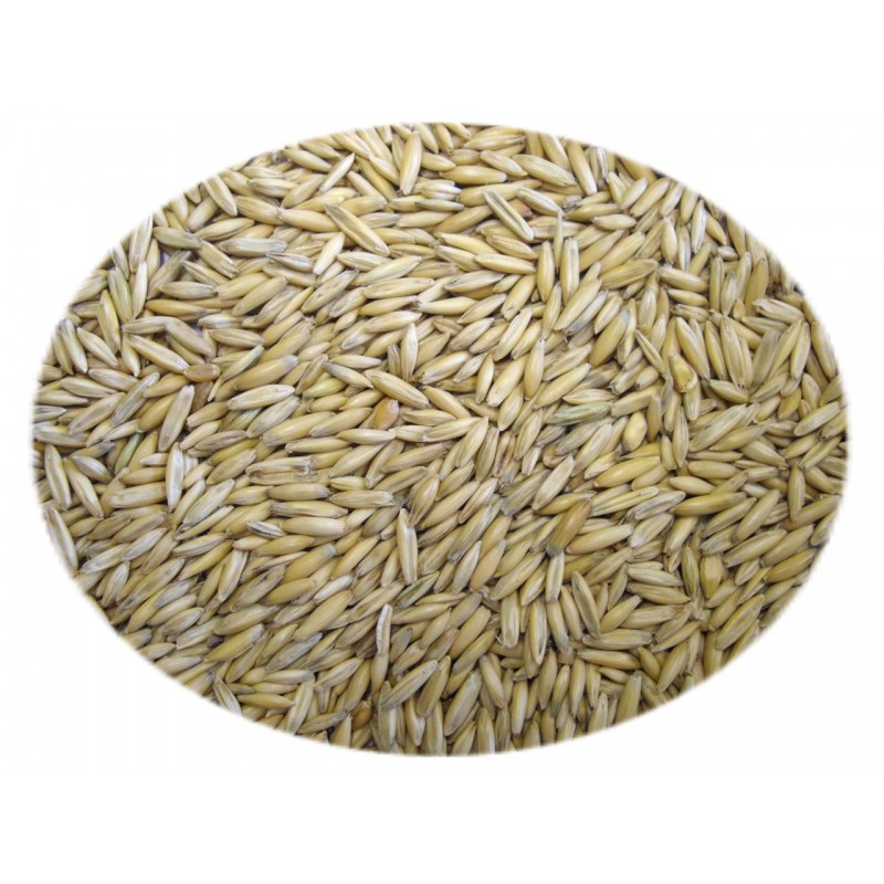 Avoine Blanche en sac de 5 kg