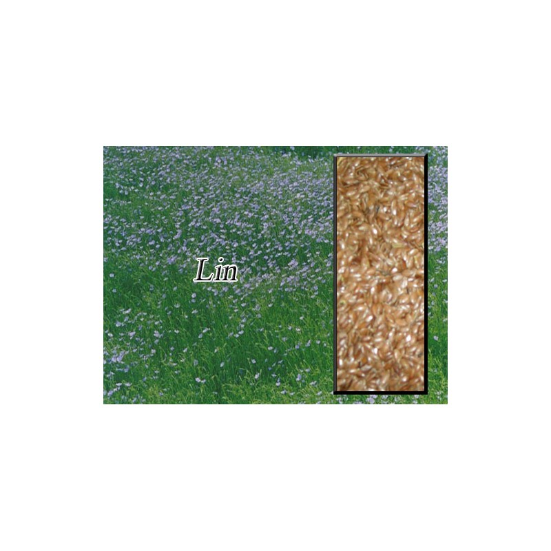 lin brun en sac de 20 kg