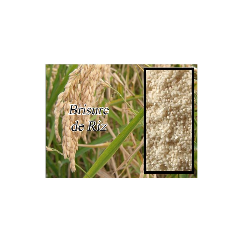 brisures de riz en sac de 25 kg