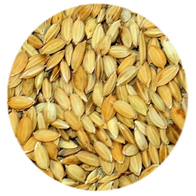 riz paddy en sac de 20 kg